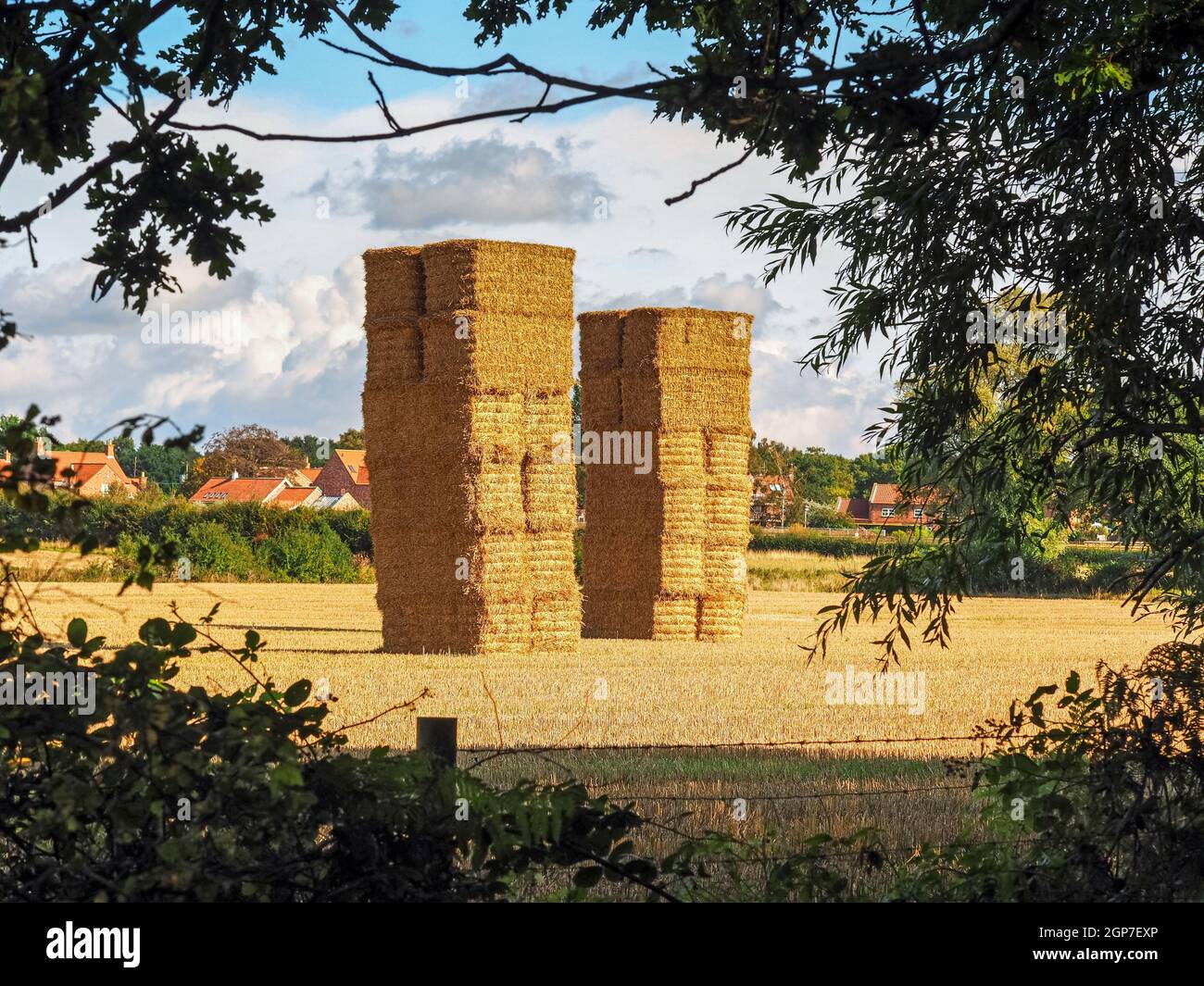 Two tall haystacks in a field at Skipwith, North Yorkshire, England ...