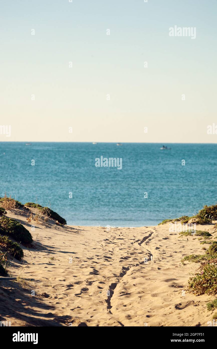 Thin beach hi-res stock photography and images - Alamy
