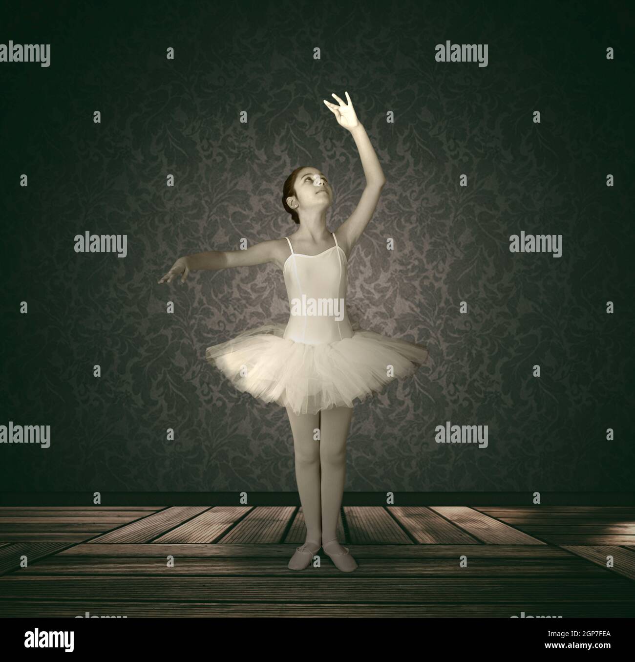 Young ballet dancer in dark room with wooden floor Stock Photo - Alamy
