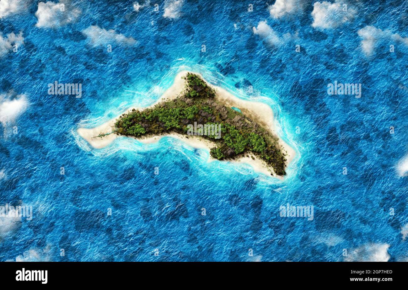 Above view of dolphin hi-res stock photography and images - Alamy
