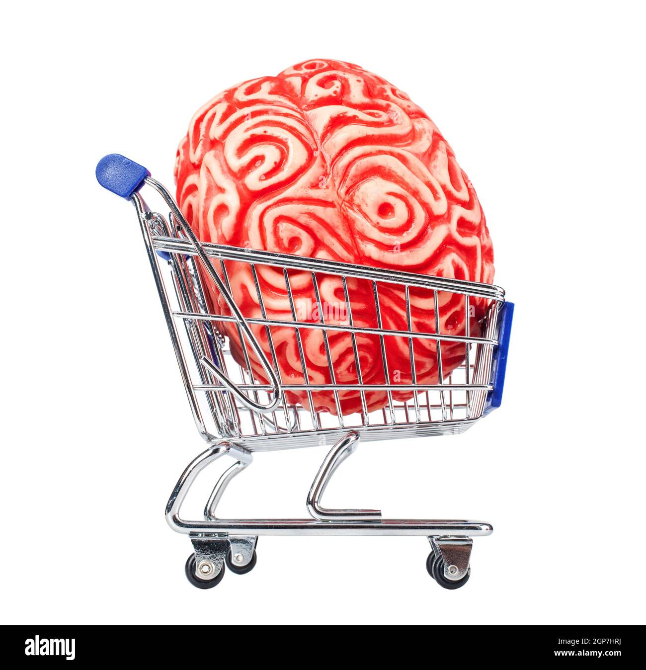 Human rubber brain in the shopping cart on white background Stock Photo ...