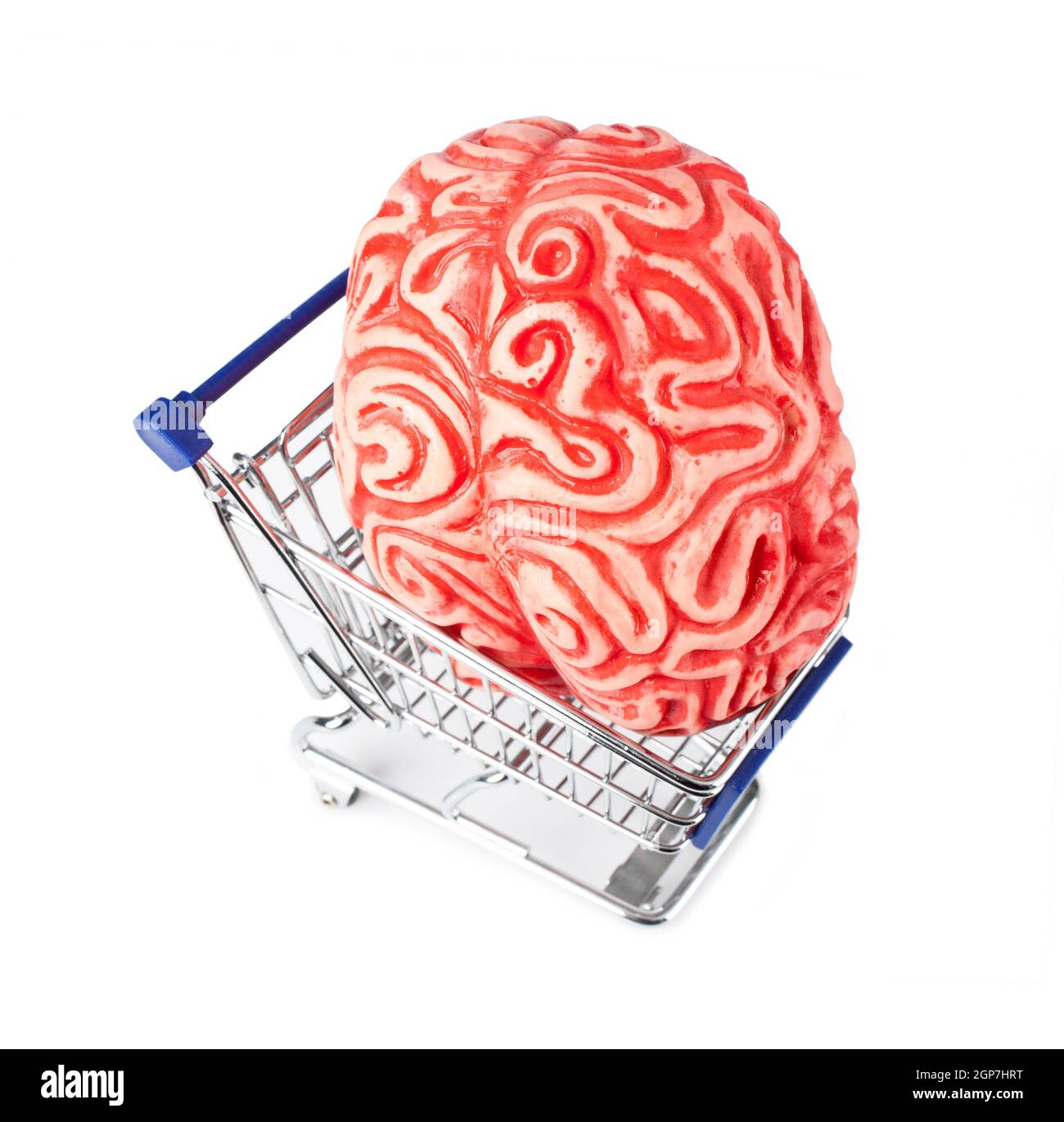 Human rubber brain in the shopping cart on white background Stock Photo ...