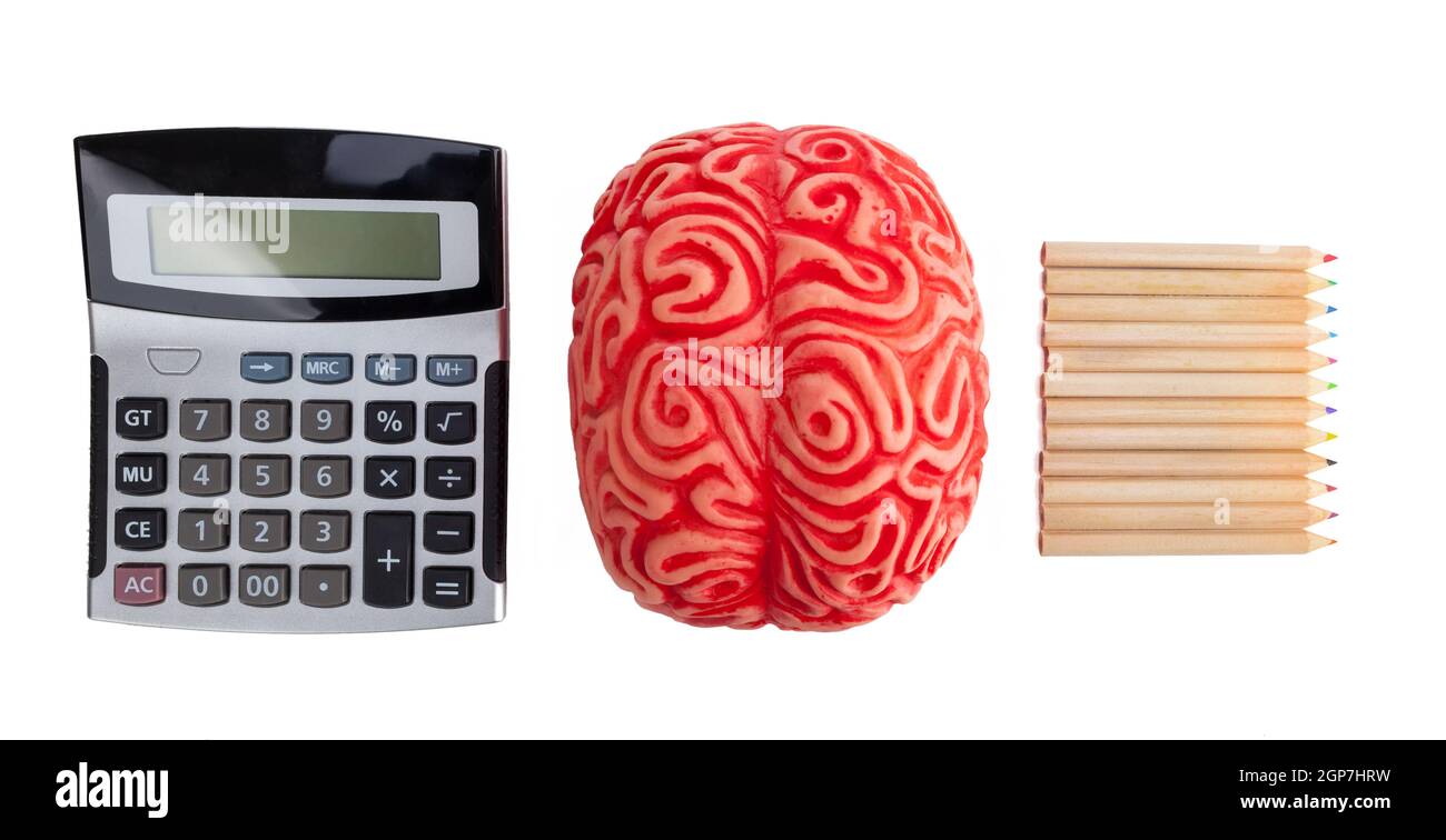 Concept of brain hemispheres between logic and creativity on white ...