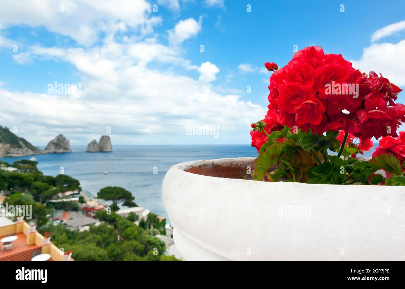 Red geraniums with Faraglioni in background, famous giant rocks, Capri ...