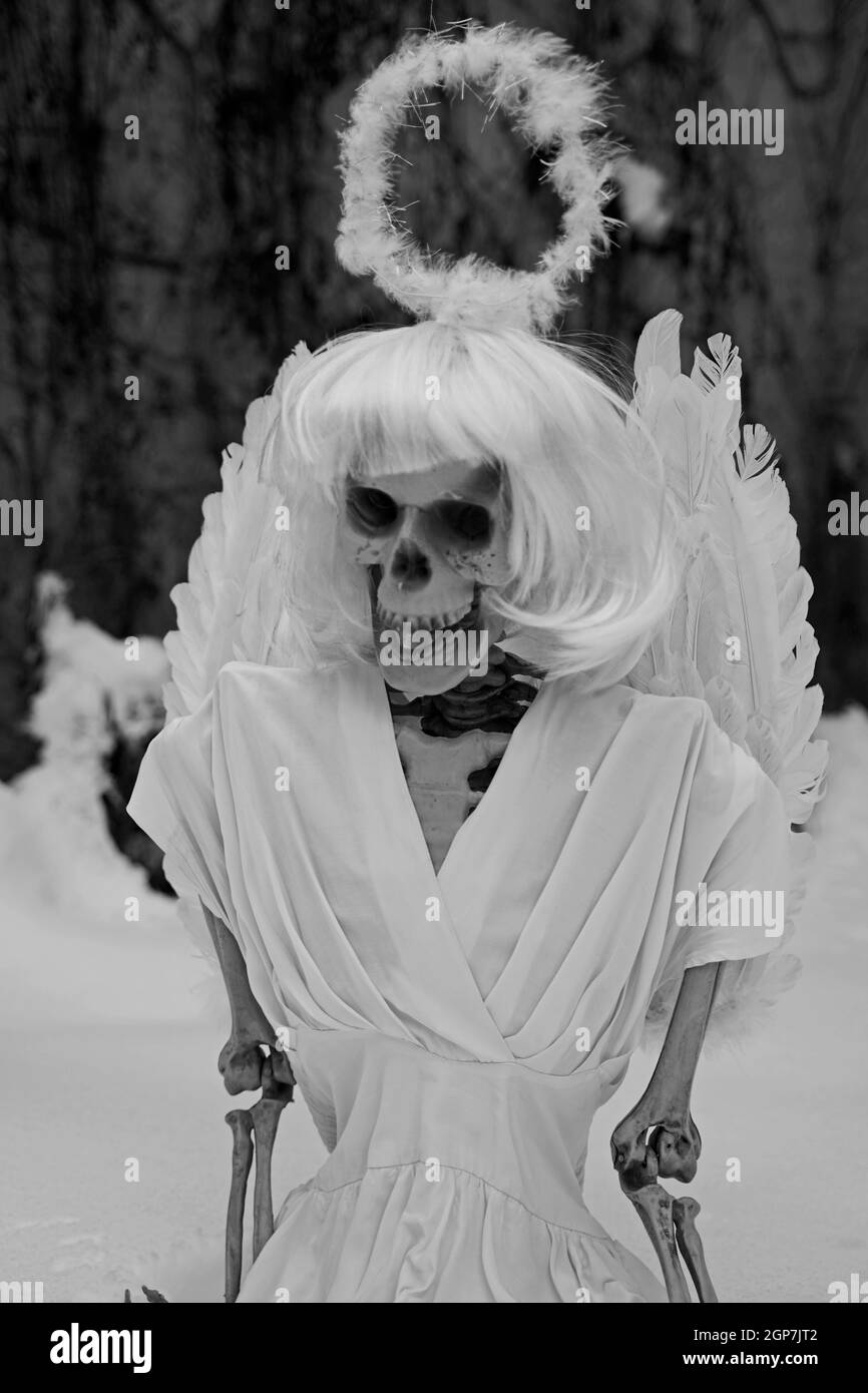 Skull with angel wings Black and White Stock Photos & Images - Alamy