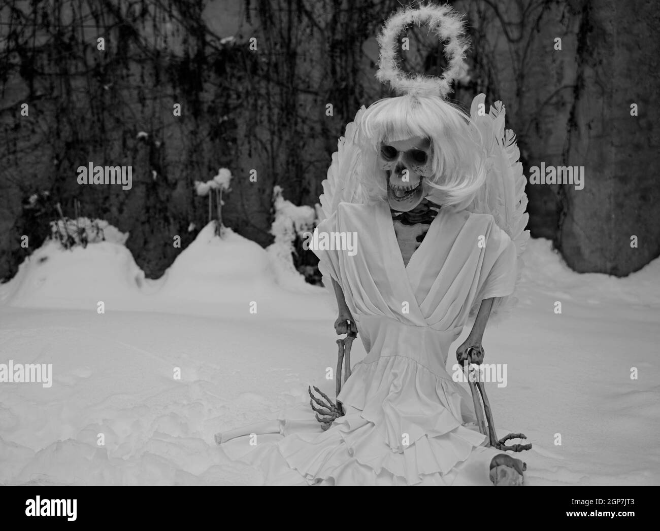 Last angel skeleton of an angel in white snow Stock Photo - Alamy