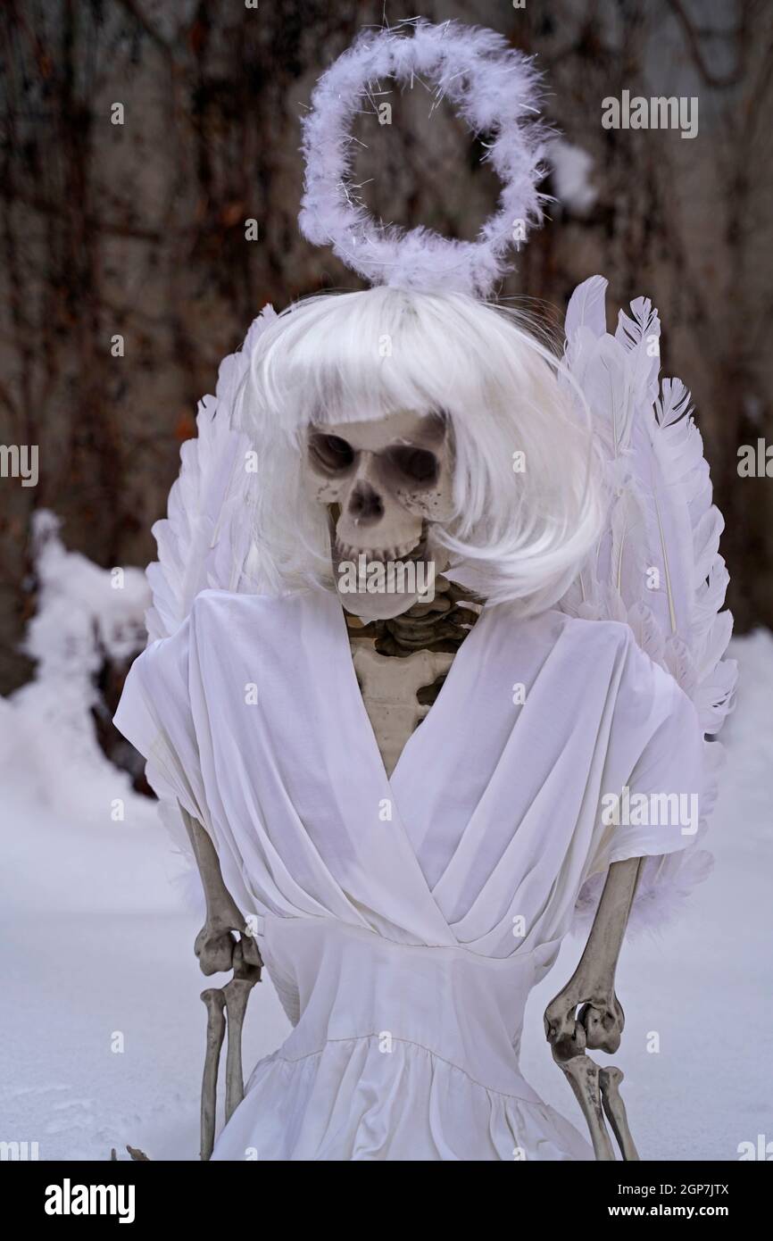 Last angel skeleton of an angel in white snow Stock Photo - Alamy