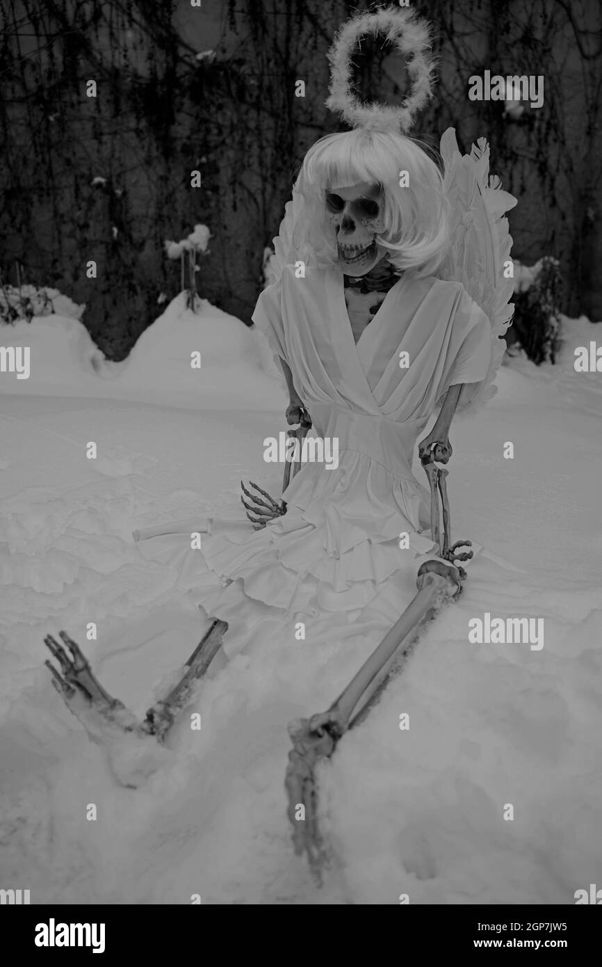 Last angel skeleton of an angel in white snow Stock Photo - Alamy