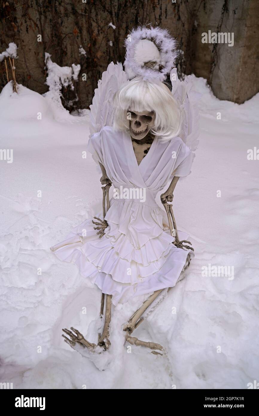 Skull and bone mardi gras hi-res stock photography and images - Alamy