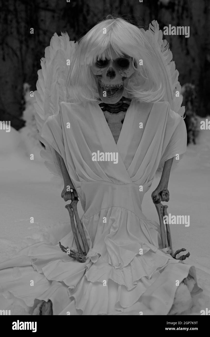 Last angel skeleton of an angel in white snow Stock Photo - Alamy