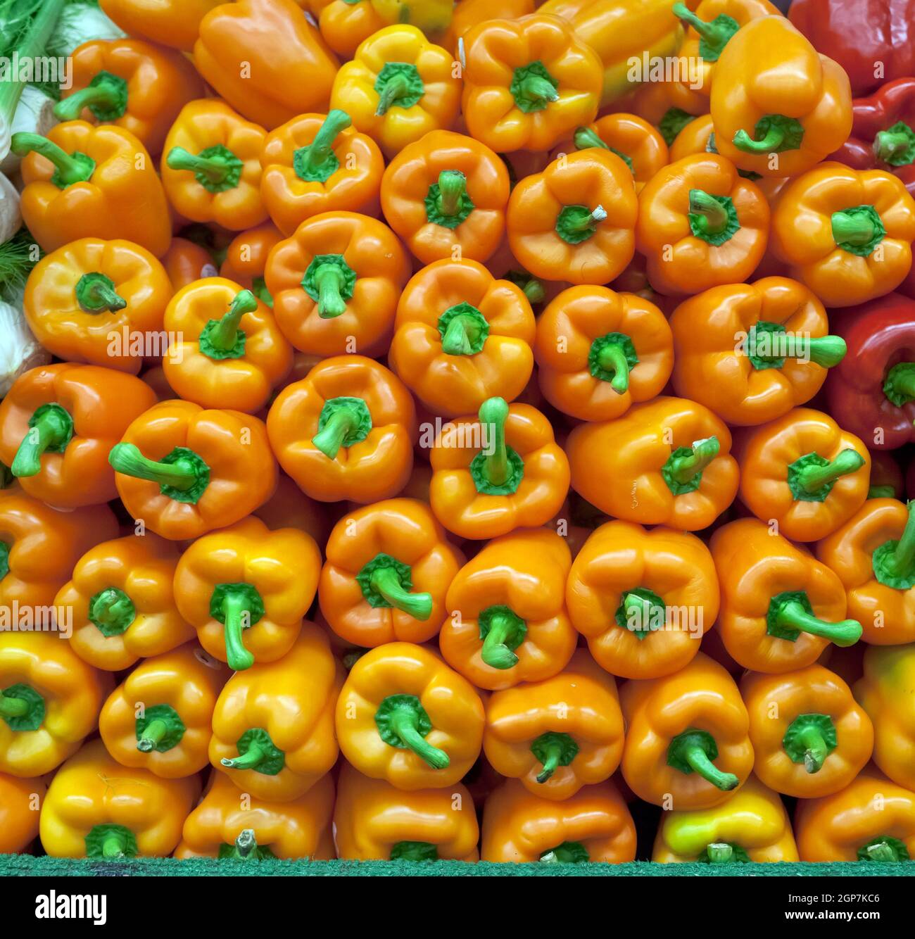 Fresh bell peppers for sale at chelsea market in New York Stock Photo ...