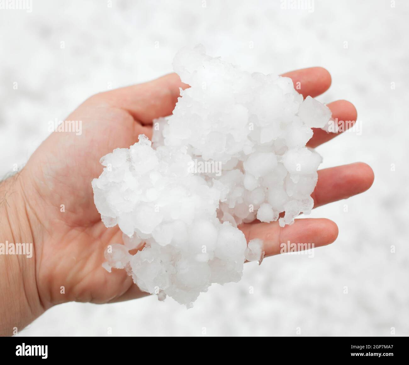 Small grains of hail in the hand Stock Photo - Alamy