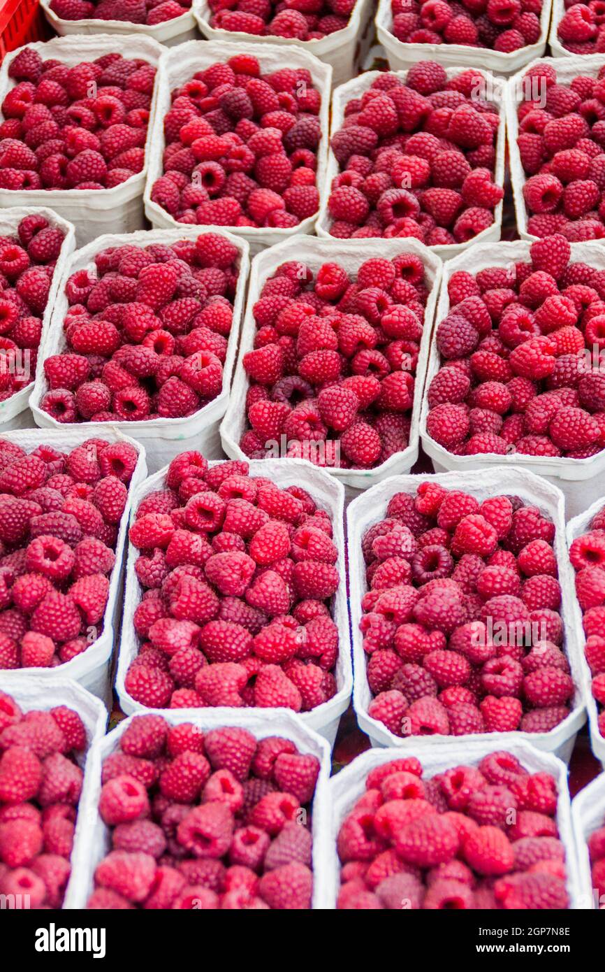 Raspberry stall at Riga Central market, Latvia Stock Photo - Alamy