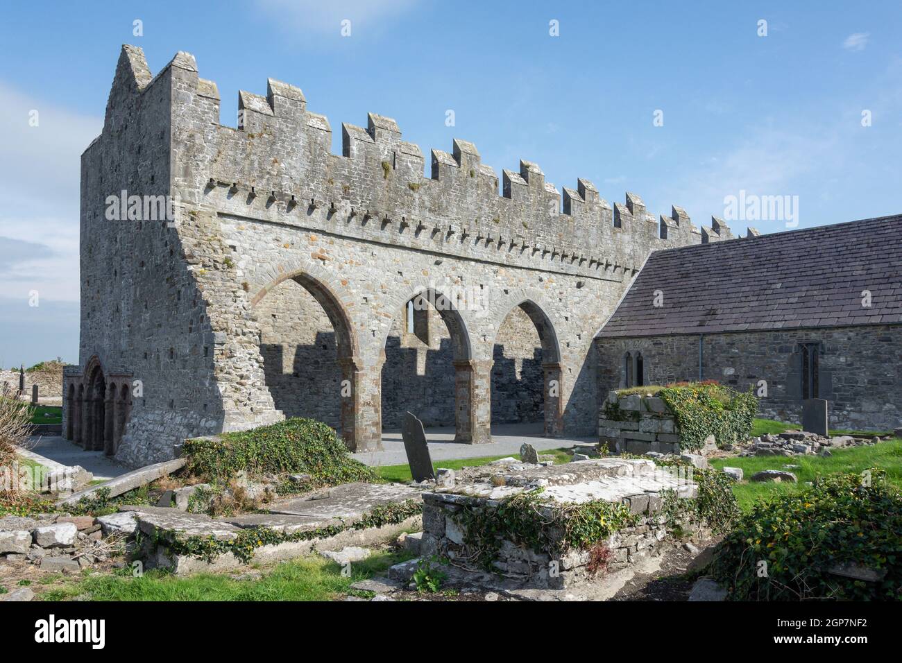 Ruins of medieval Ardfert Abbey, Ardfert (Ard Fhearta), County Kerry ...