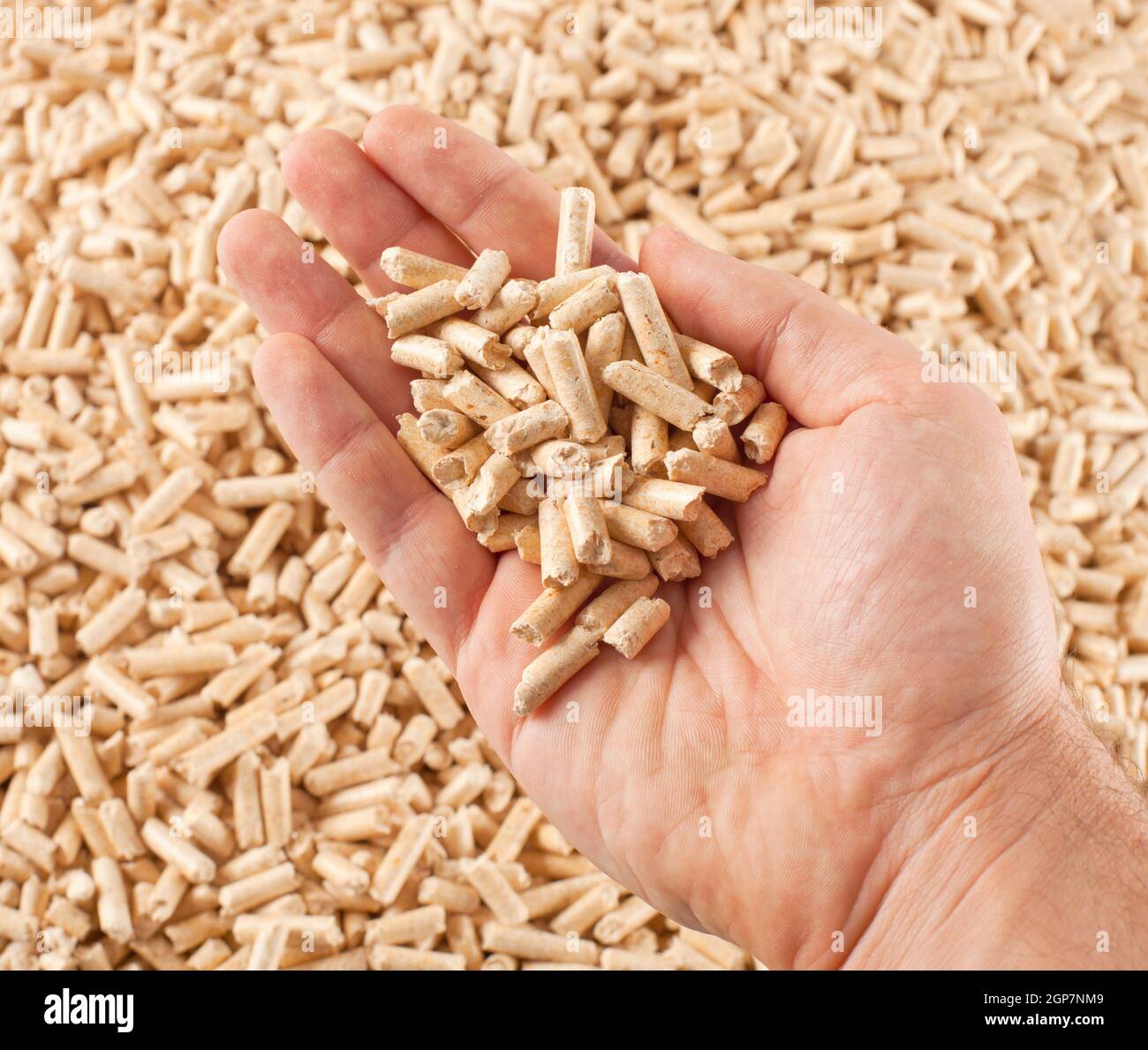 Wood pellets in hand on pellets background Stock Photo - Alamy