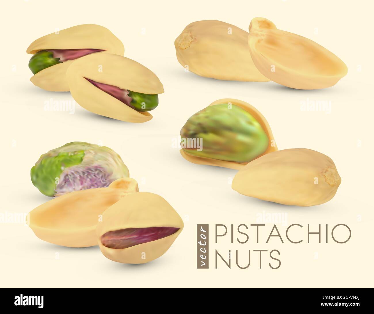 Collection of vector pistachio nuts. Realistic dry shell background ...