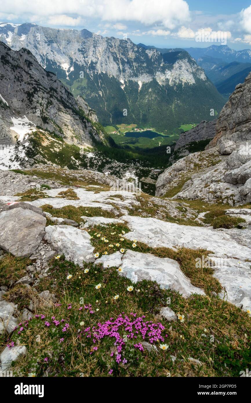 Vertical shot of a beautiful alpine landscape covered in snow in ...