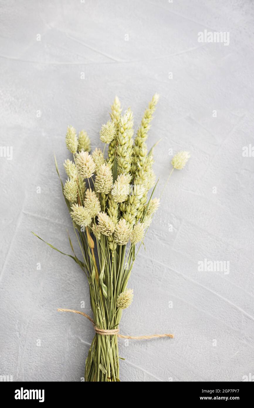 Bouquet of beautiful light green dried flowers on gray concrete look ...