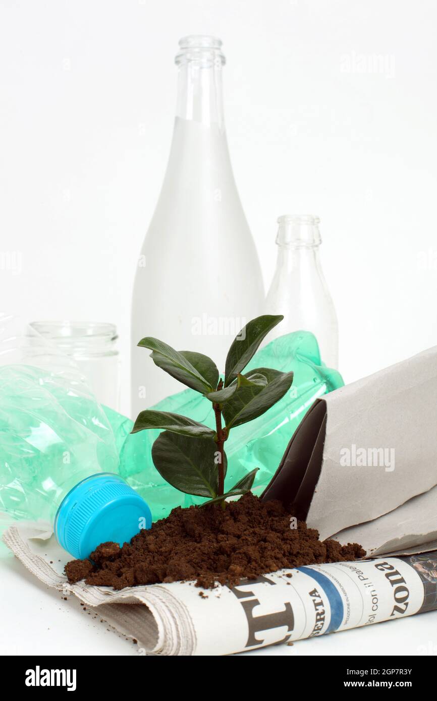 New plant growing from trash, waste collection Stock Photo - Alamy
