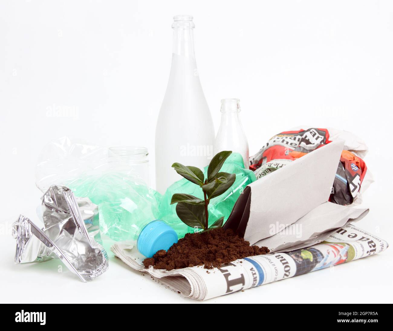 New plant growing from trash, waste collection Stock Photo - Alamy
