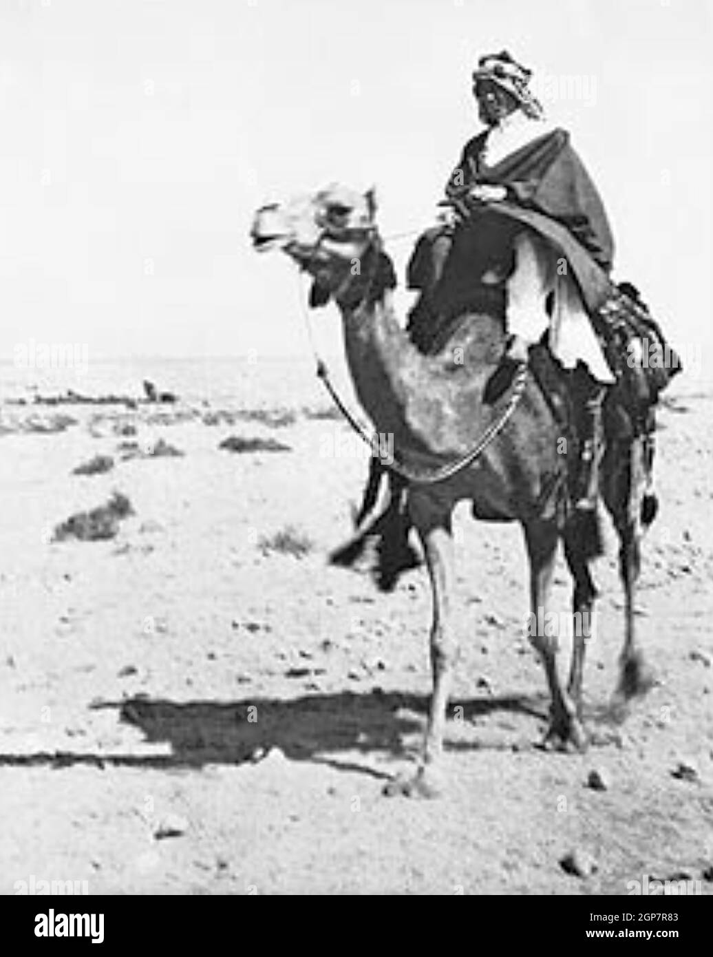 T.E.LAWRENCE (1888-1935) British archeologist, soldier and diplomat at ...
