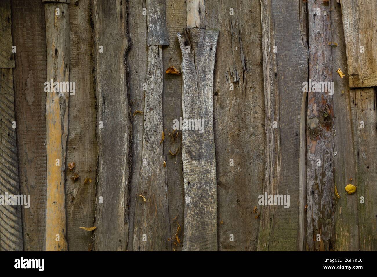 Fence from old unedged boards. Wooden croaker plate texture flat full ...