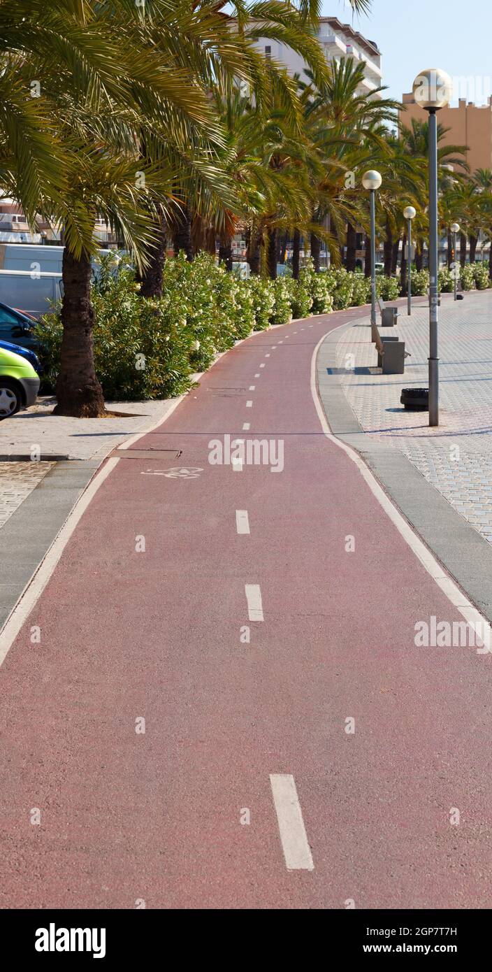 Bike path on the promenade of Palma de Mallorca, Spain Stock Photo - Alamy