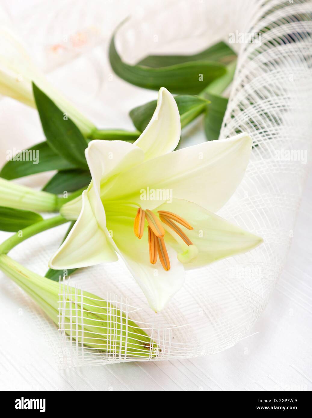 First holy communion hi-res stock photography and images - Alamy