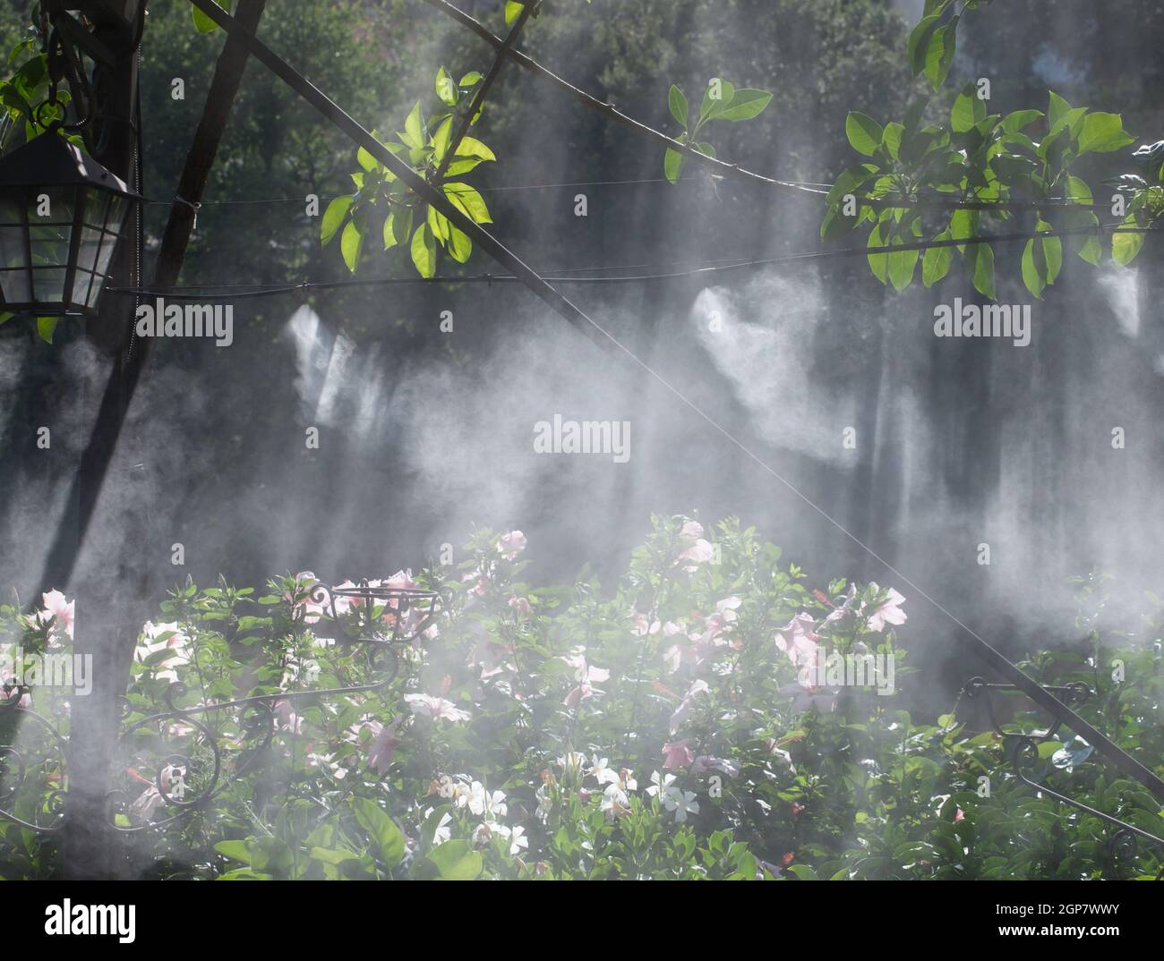 Nebulization system water for commercial premises in summer Stock Photo ...