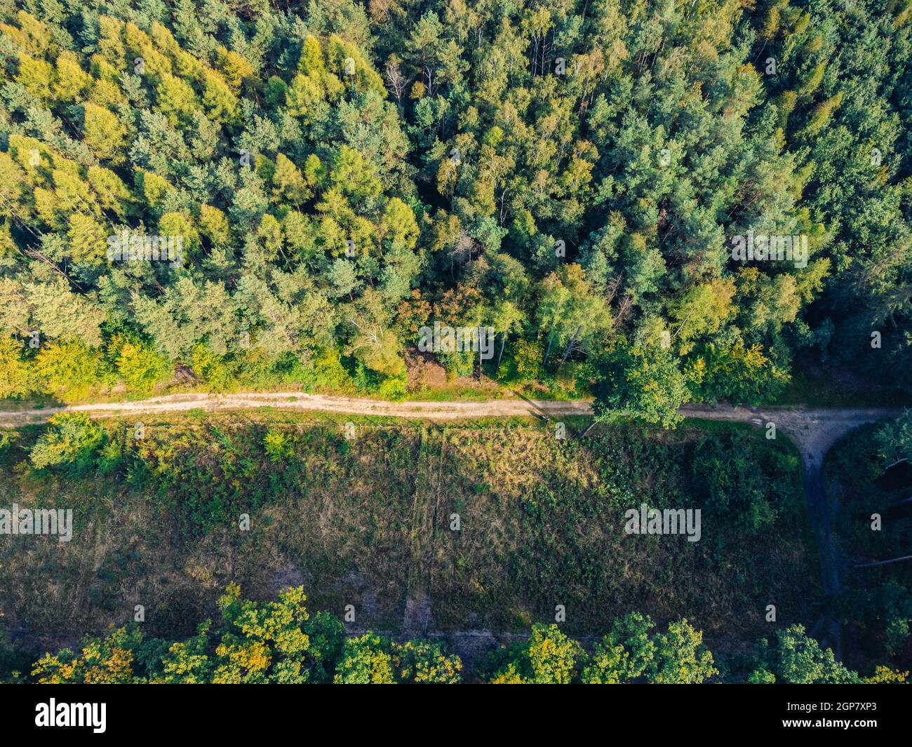 Aerial view of a forest footpath from a height. The trees are visible ...