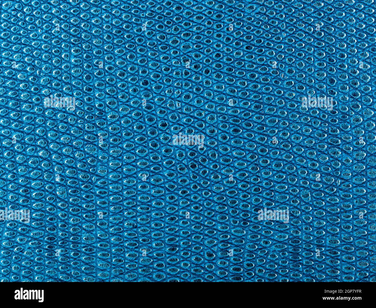 Blue snake hi-res stock photography and images - Alamy