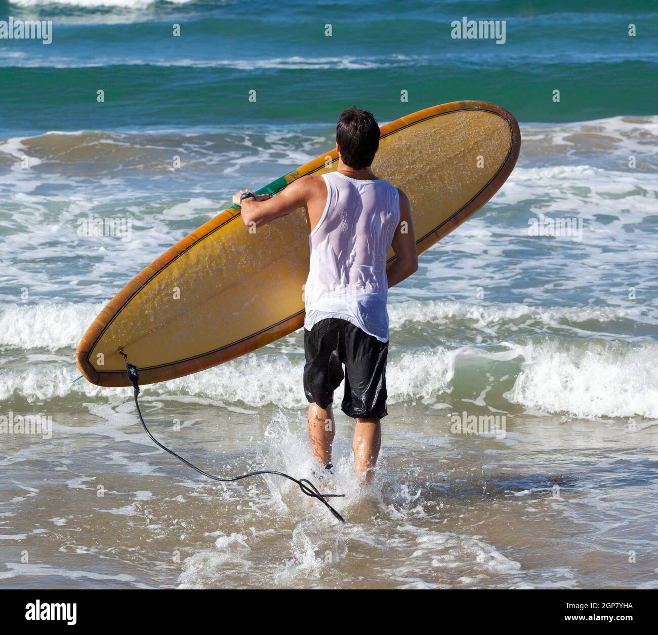 Portrait of Surfer with longboard on the beach Stock Photo - Alamy
