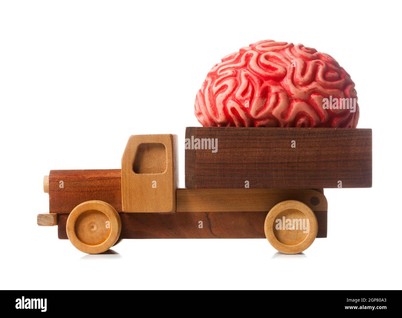 Wooden truck carries a rubber brain, metaphor for brain drain Stock ...