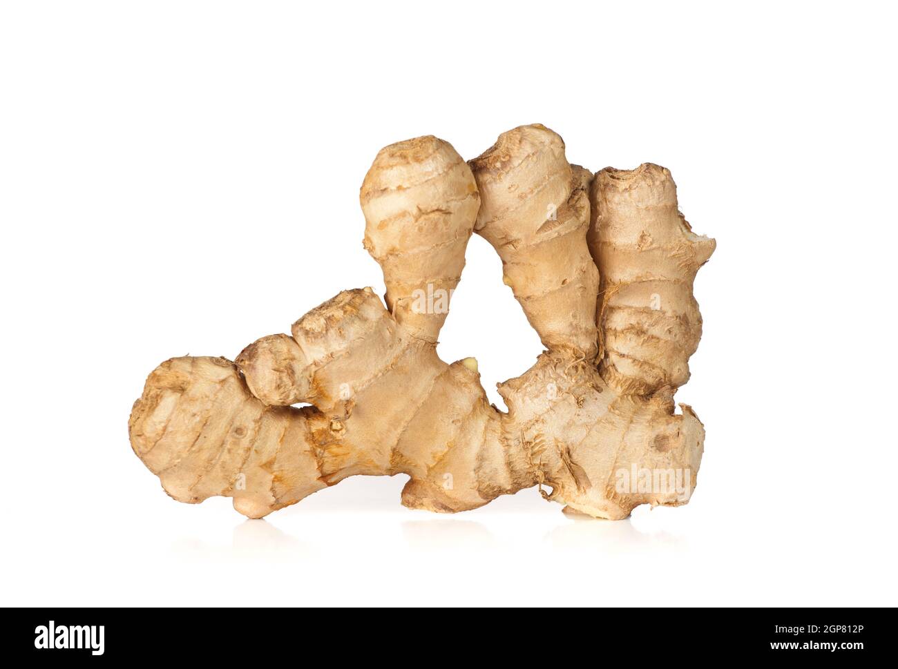 Root ginger (Zingiber officinalis) isolated on a white studio ...