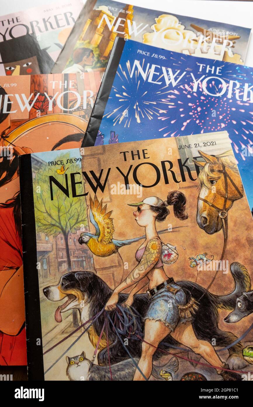 New yorker and dog hi-res stock photography and images - Alamy