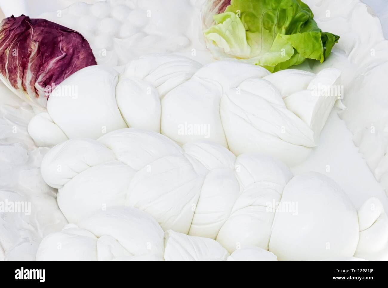 Mozzarella di Bufala typical dairy product of the Campania region of ...