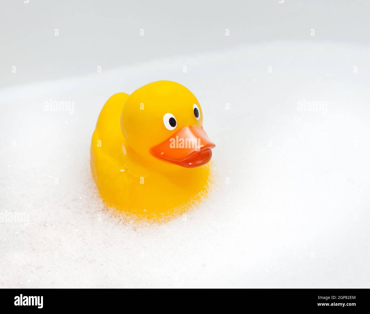 Cute rubber duck floating in suds isolated with copy space Stock Photo ...