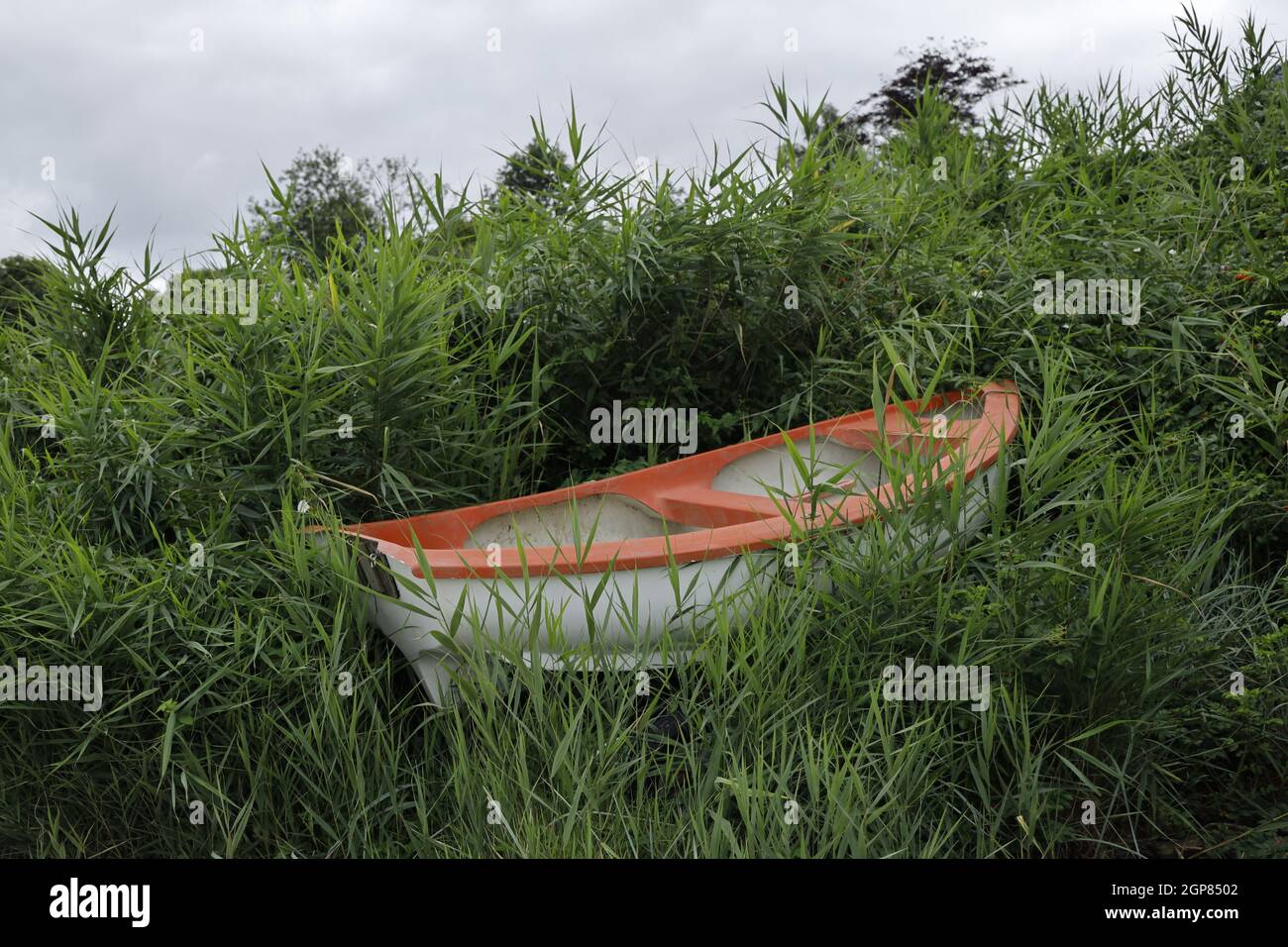 Old abandoned kayak on the grass at a beach in Denmark Stock Photo - Alamy
