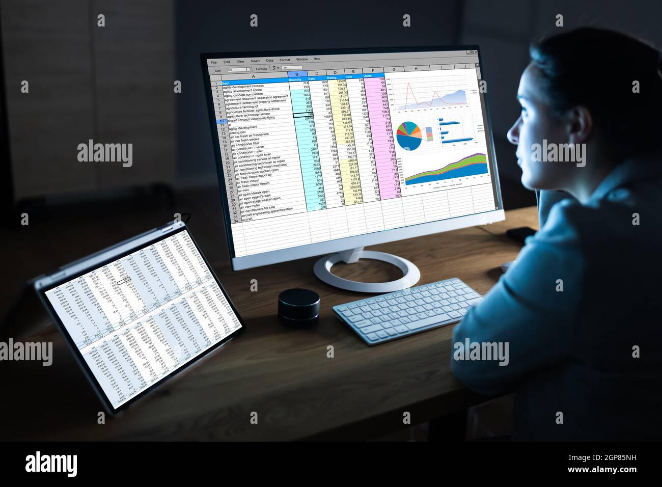 Woman Using Finance Spreadsheet Report On Laptop Screen Stock Photo - Alamy