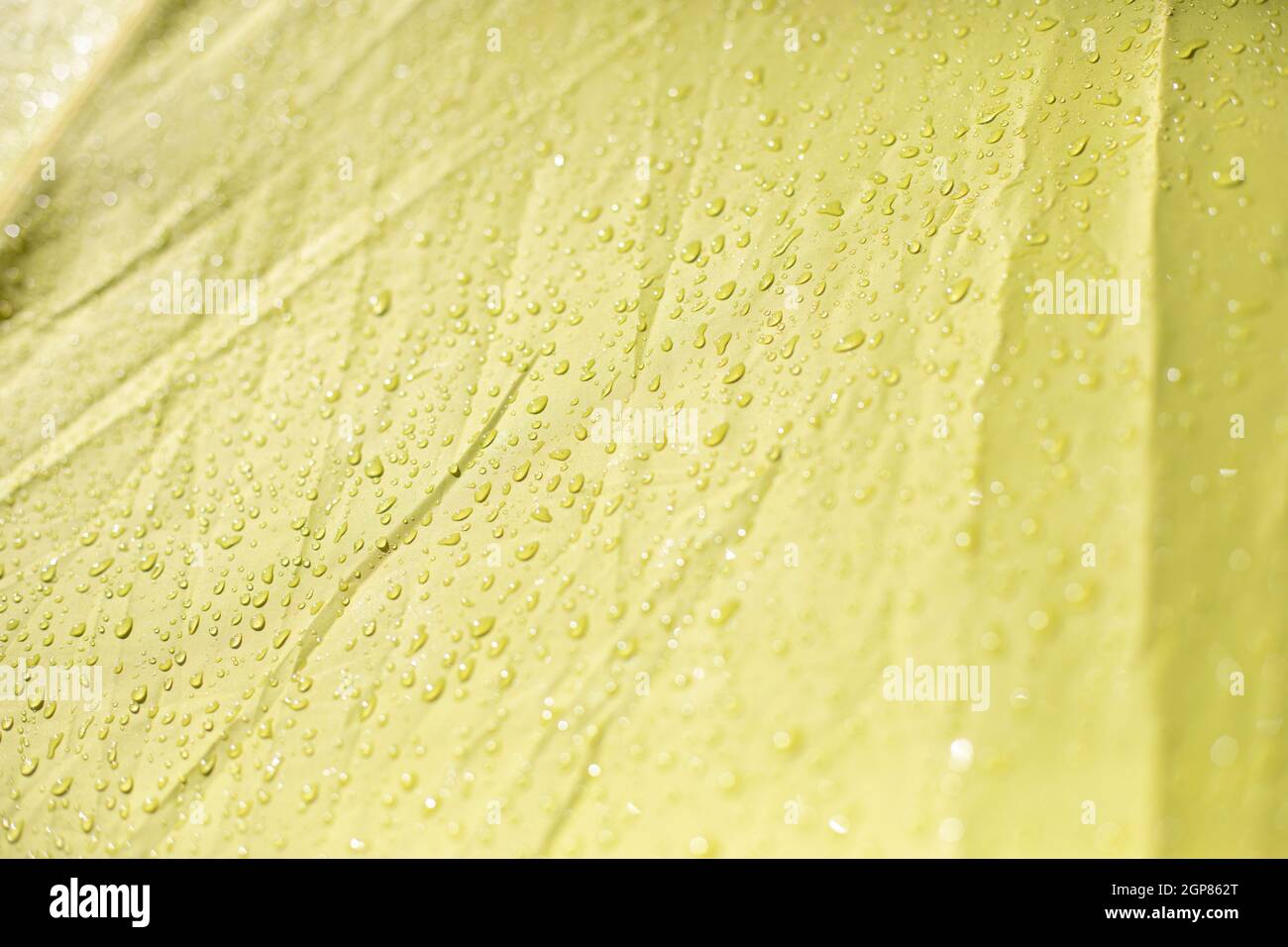 Drops of water on clothes line hi-res stock photography and images - Alamy