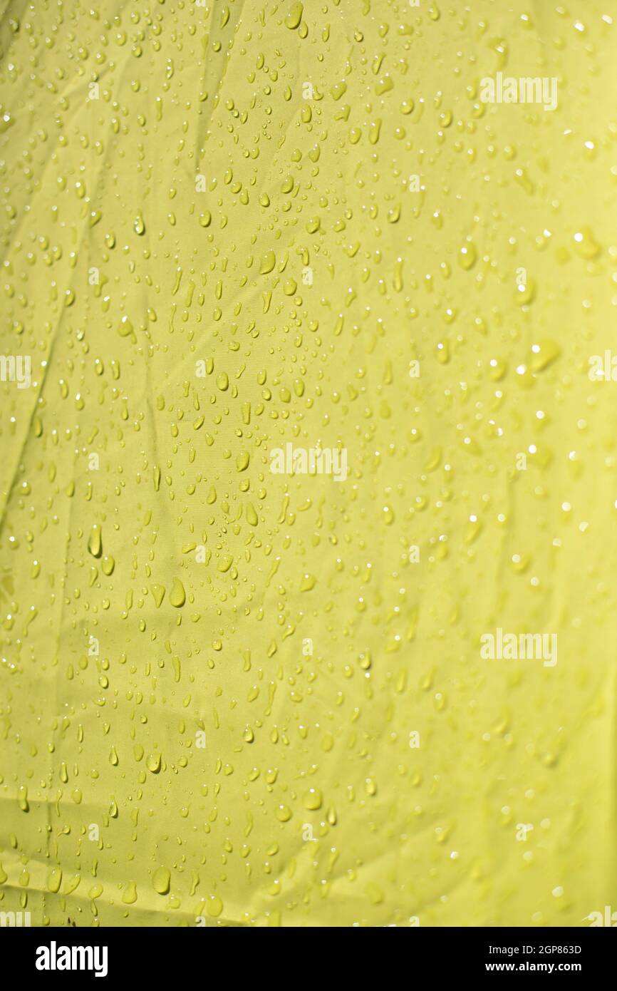 Wet cloth. Drops on yellow fabric. Wet awning from the rain Stock Photo ...