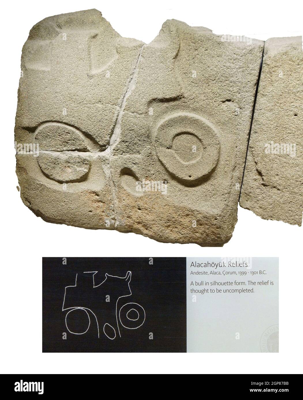 Orthostat High Resolution Stock Photography and Images - Alamy