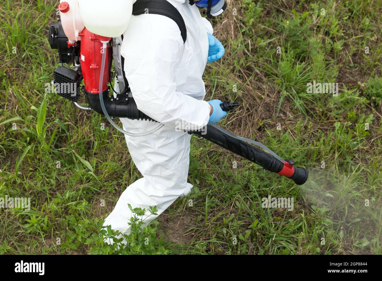 Outdoors pest hi-res stock photography and images - Alamy