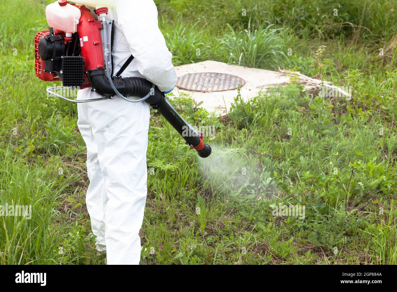 Man spraying insects outdoors. Pest control Stock Photo - Alamy