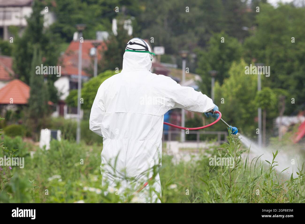 Man spraying insects outdoors. Pest control Stock Photo - Alamy