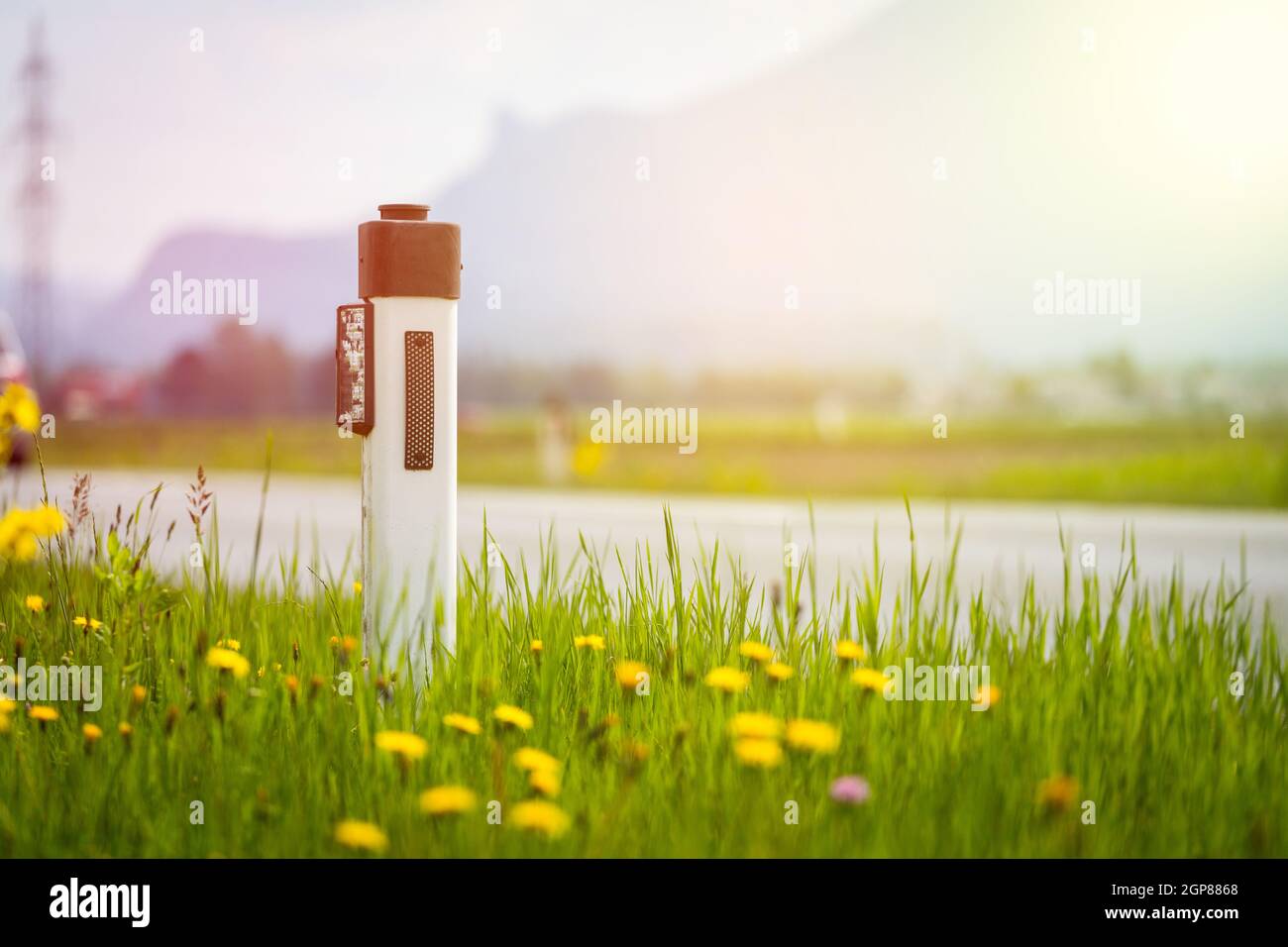 Reflector post at an idyllic asphalted road in summer, flowers and ...