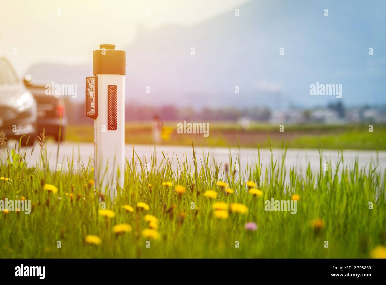Reflector post and cars at an idyllic asphalted road in summer, flowers ...