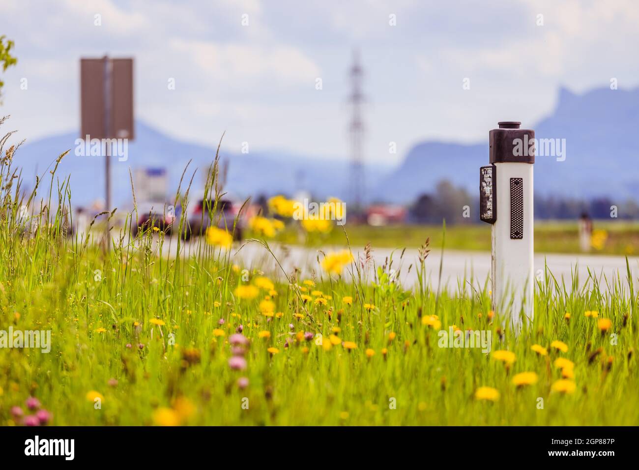 Reflector post at an idyllic asphalted road in summer, flowers and ...