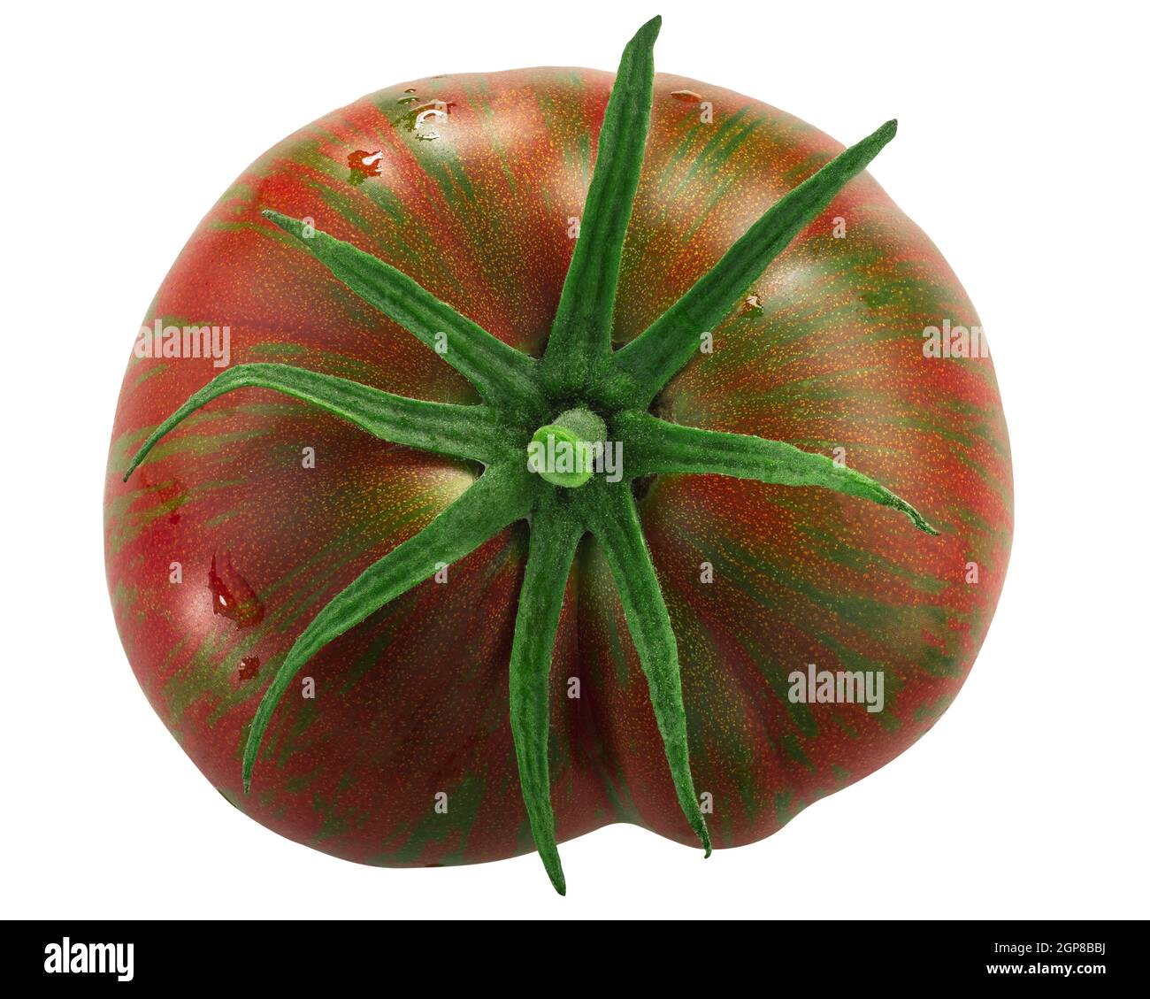 Berkeley Tie Dye heirloom striped bicolor tomato isolated, top view ...