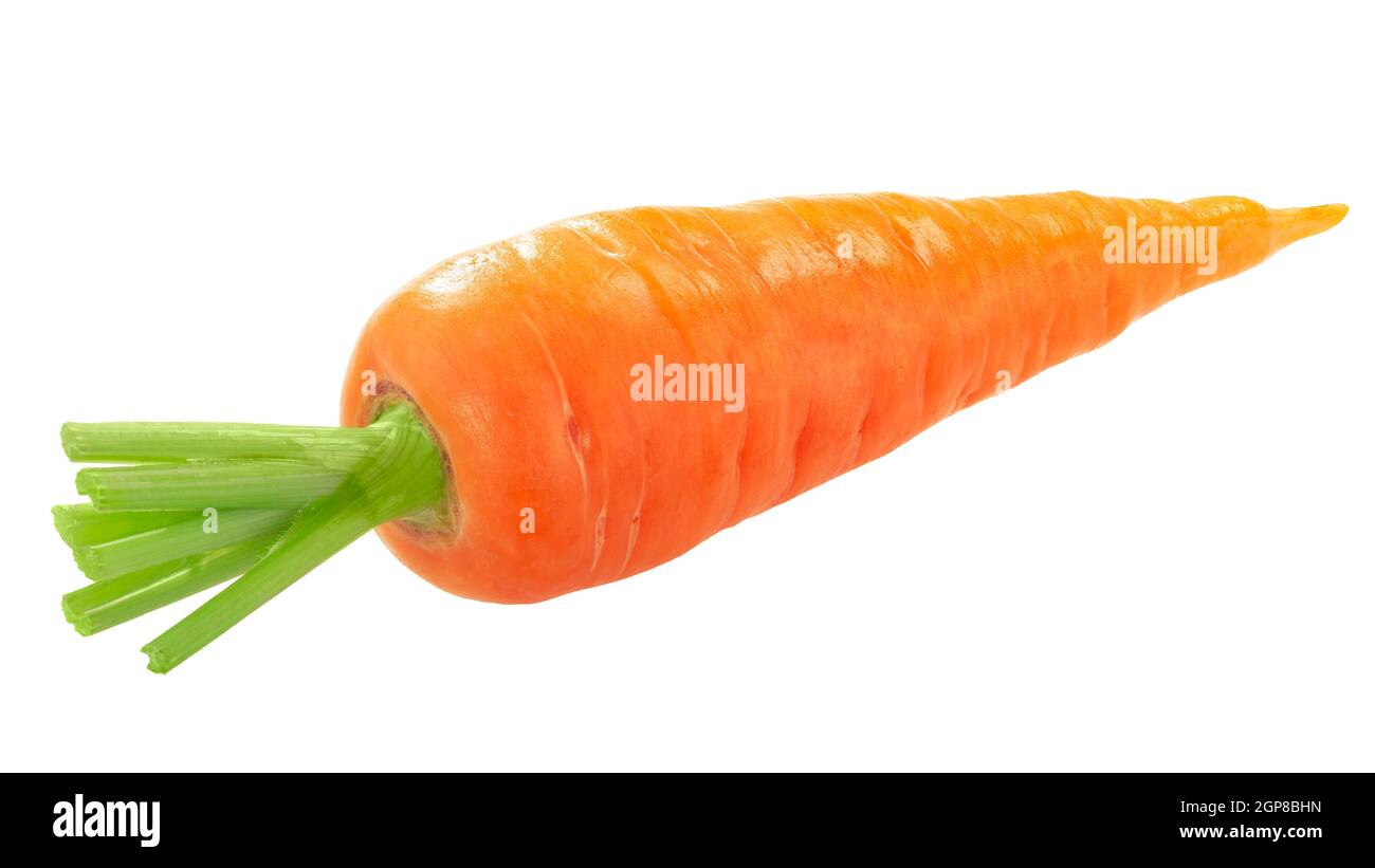 Royal Chantenay carrot, short-rooted variety w/ tapered tip, isolated ...